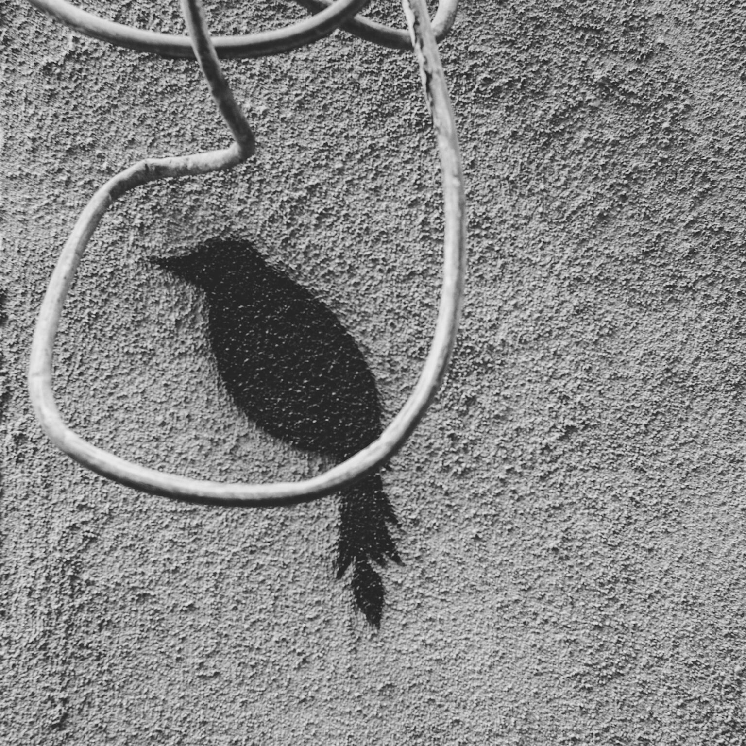 The Shadow of the Noose with Robin Herne - Eastern Education Group